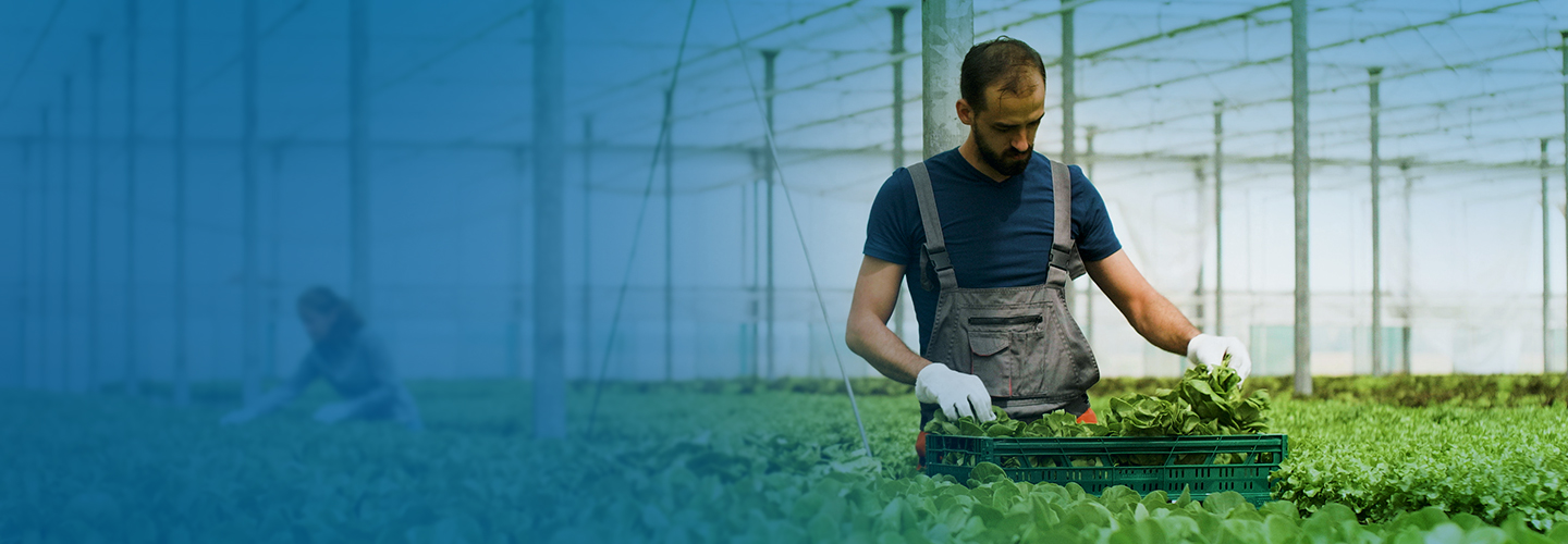 Harvest WebOn Agri-plantation - iSmart