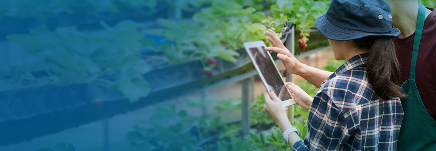 Harvest WebOn Agri-plantation - iSmart